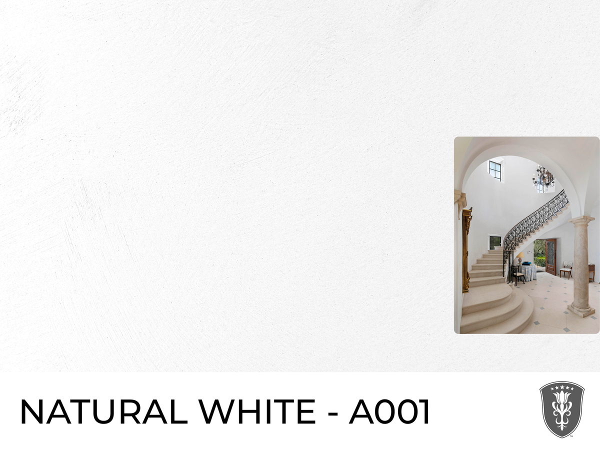 Natural White - A001 | Vasari Lime Plaster & Paint