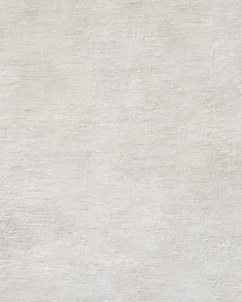 LIME PAINT - 1 QUART | Vasari Lime Plaster & Paint