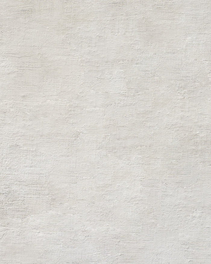 LIME PAINT - 5 GALLON | Vasari Lime Plaster & Paint