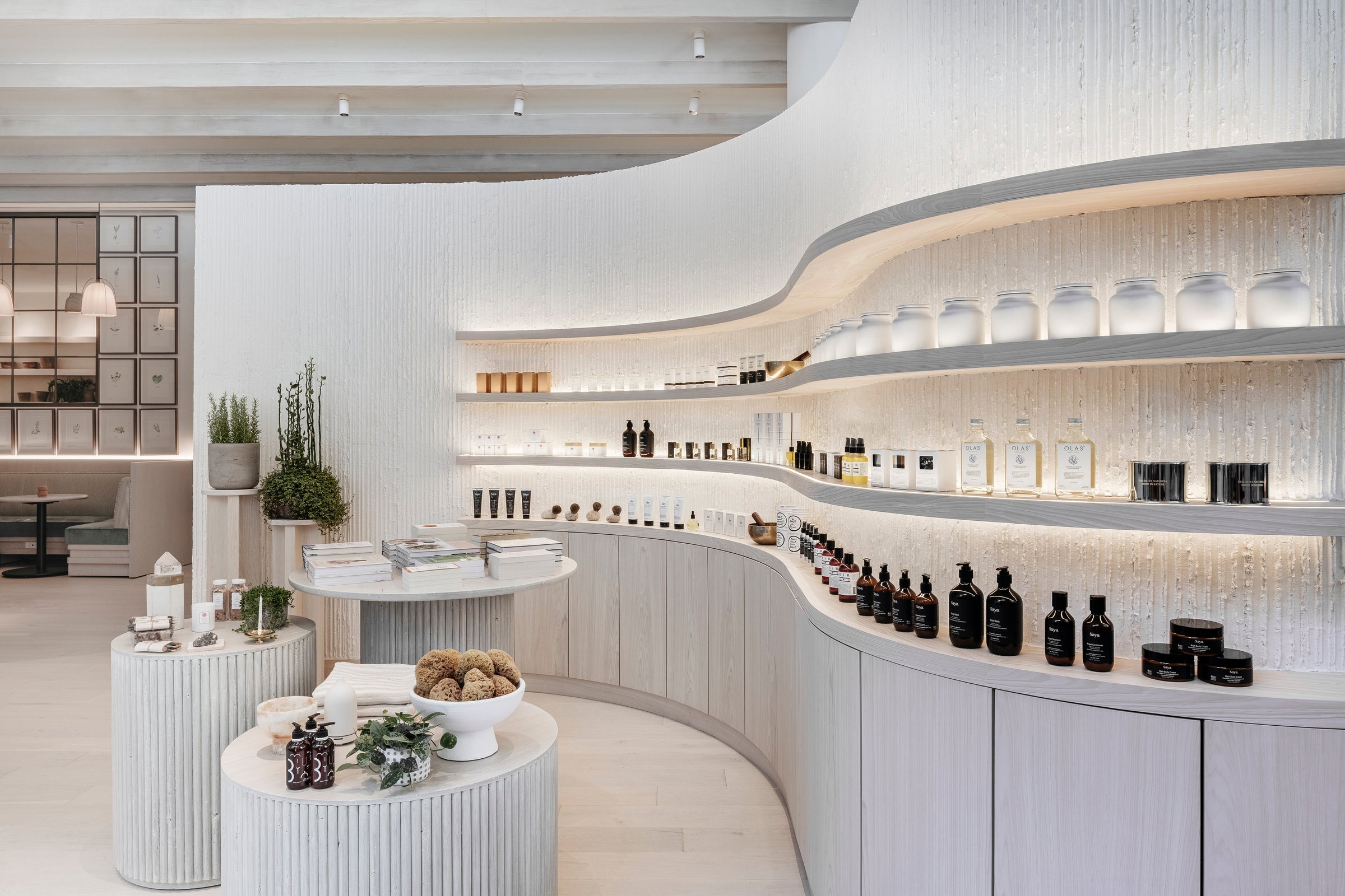 CARRERA - SAMPLE BOARD | Vasari Lime Plaster & Paint